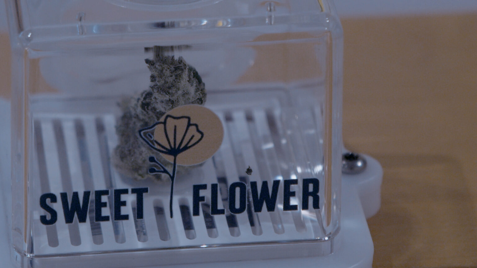 A Diminished, Unpopular Gavin Newsom Loses His Grip on California ...